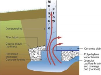 How Does Capillary Action Work? with Dr. Joe Lstriburek | DELTA®